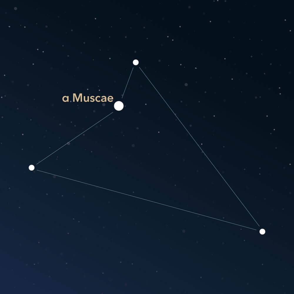 Constellation Musca | Interesting Information & Images